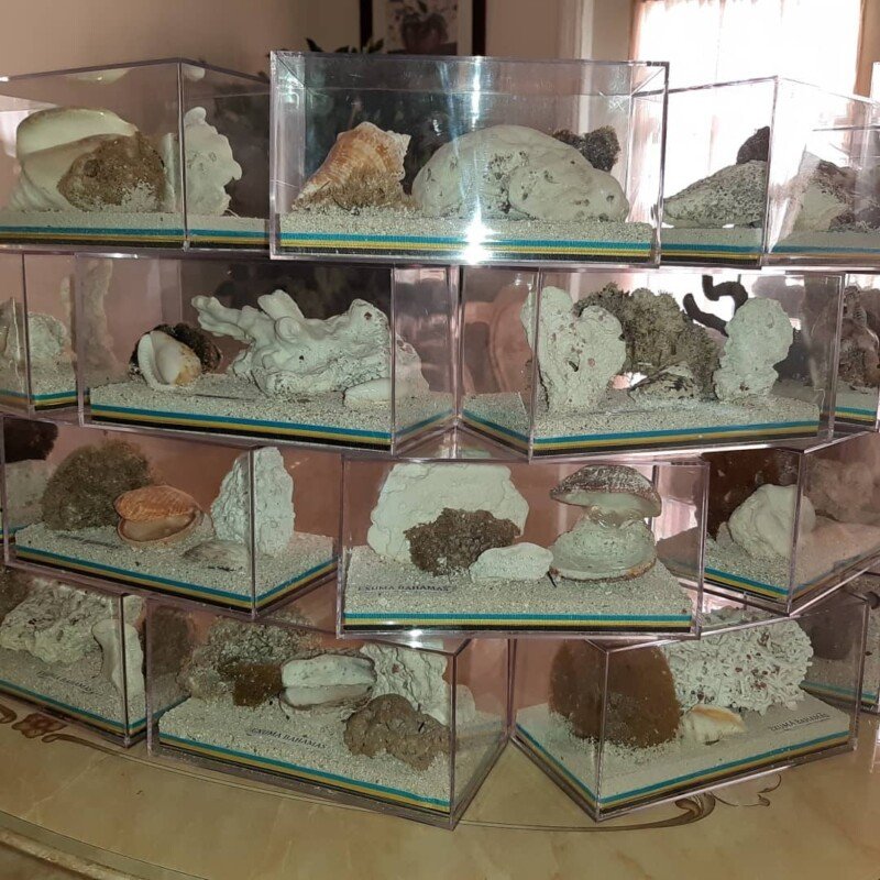 Exuma Underwater Store brings the magic of deep sea life onshore – Eye ...
