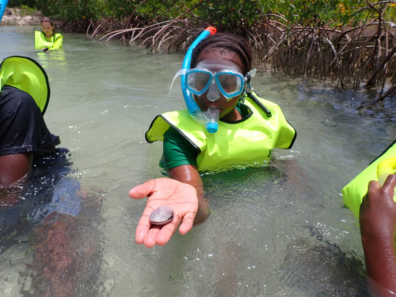 Students explore Androsian mangroves, coral reefs at BREEF summer camp ...