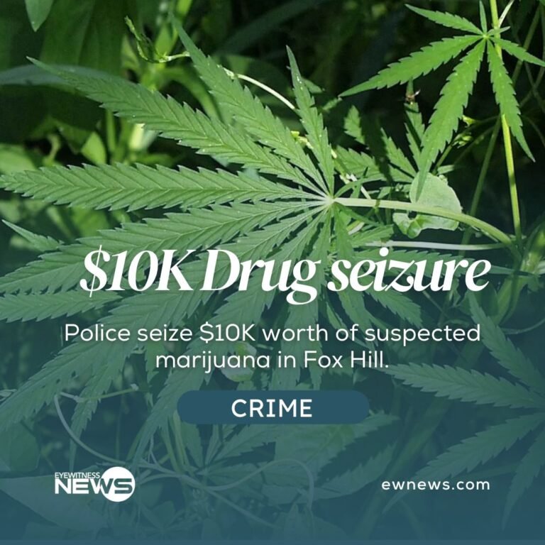 10k Drug Seizure In Fox Hill Eye Witness News
