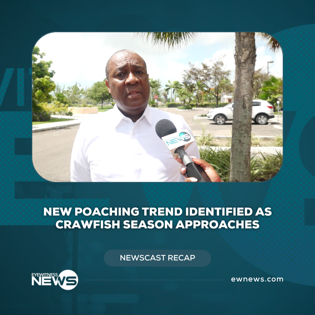 New poaching trend identified as crawfish season approaches – Eye ...