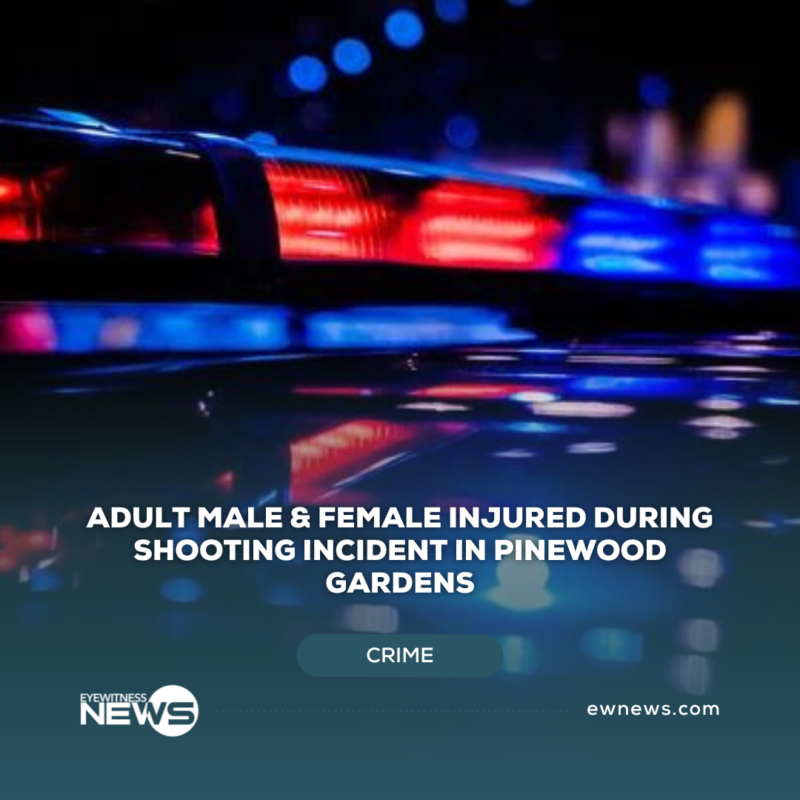 Adult male & female injured during Pinewood Gardens shooting incident ...