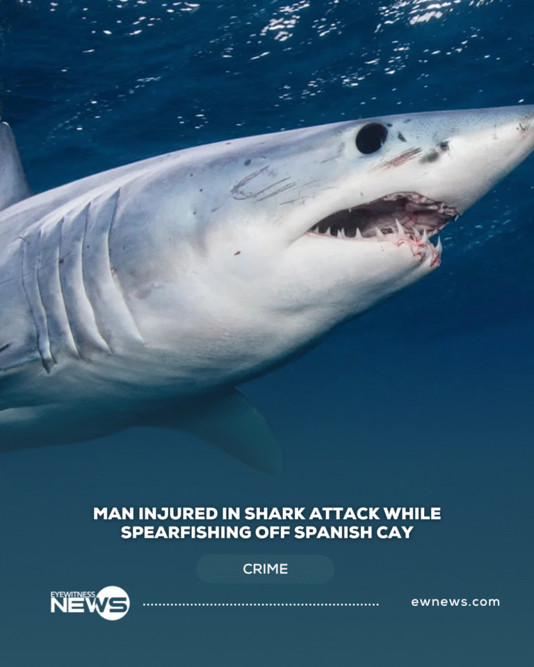 Man Injured in Shark Attack While Spearfishing Off Spanish Cay – Eye ...